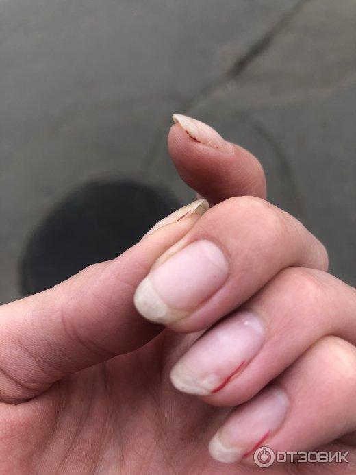 Отзыв о Студия маникюра City Nails (Россия, Москва) | Хамство и ...