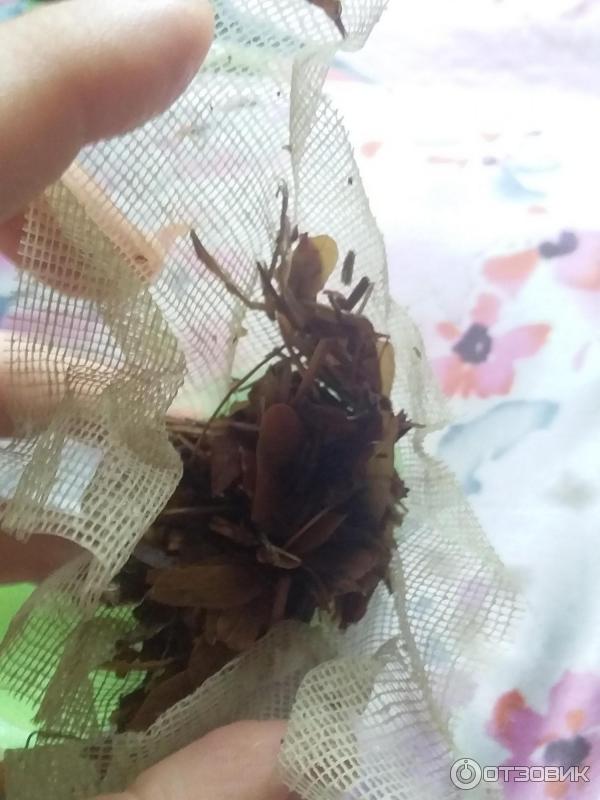 Отзыв о Травяной ингалятор Hong Tai | Многофункциональная баночка. Советую