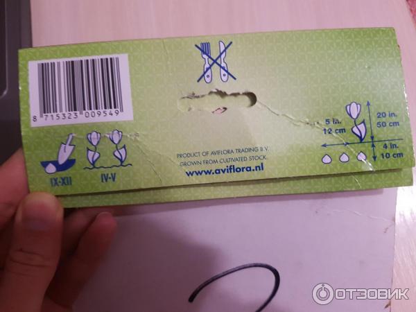 Отзыв о Луковицы тюльпанов Aviflora | Дорого, но в подарок можно купить ...