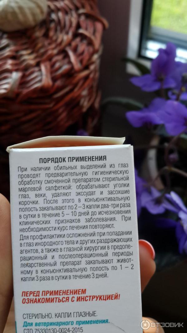 Отзыв о Глазные капли Api-San Декта-2 | Такие капли теперь всегда будут ...