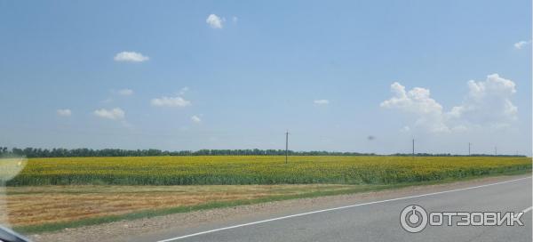 Отзыв о Поездка на машине из Москвы в станицу Голубицкая | Главное, не ...
