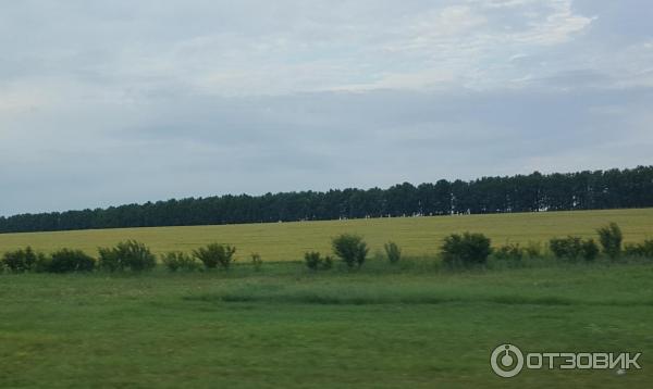 Отзыв о Поездка на машине из Москвы в станицу Голубицкая | Главное, не ...