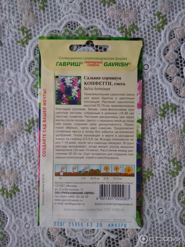 Отзыв о Семена Гавриш "Сальвия конфетти" | Красивые и необычные