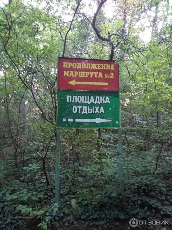 Отзыв о Тропа здоровья Терренкур (Россия, Архипо-Осиповка) | Бодрая ...