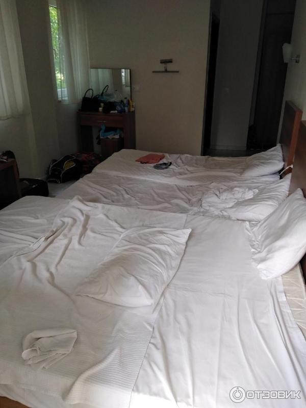 Отзыв о Отель Solis Beach Hotel 3* (Турция, Аланья) | Я даже не ...