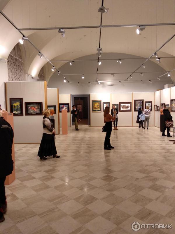 Отзыв о Выставка "Сириус. Созвездие молодых талантов" - музей Академии ...